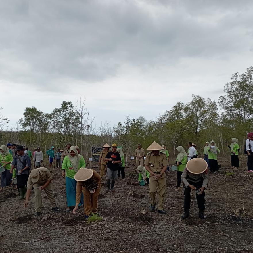 PENANAMAN PERDANA TANAMAN BENGUK SEBAGAI KOMODITAS MAKANAN LOKAL KULON ...